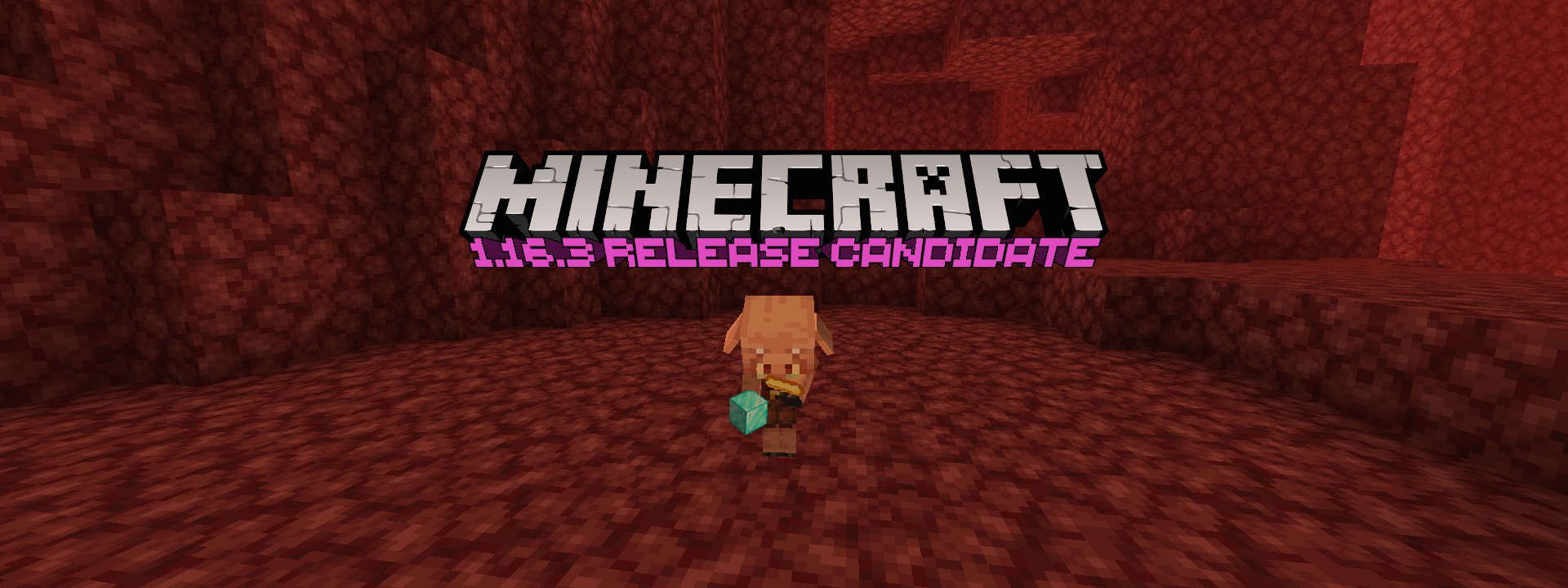 Minecraft Java Edition 1.16.3