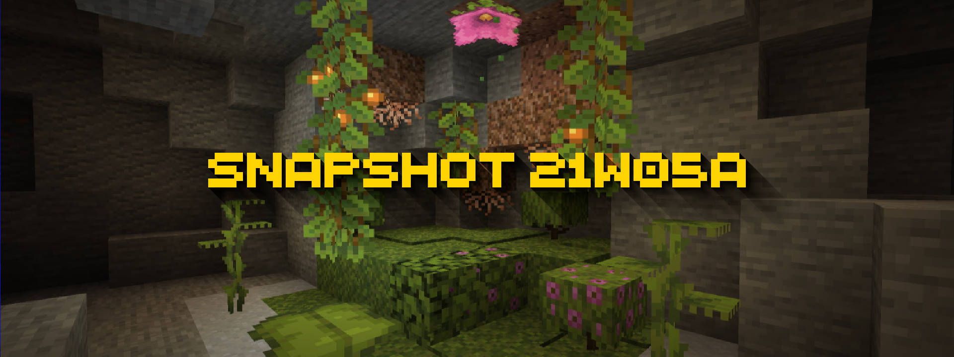 Minecraft Snapshot 21w05a/b